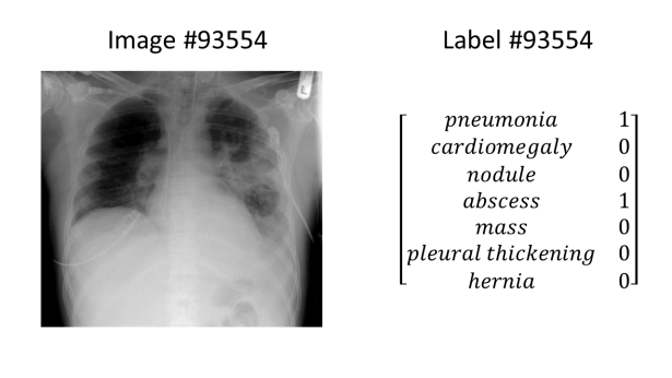 Multi-label vs. Multi-class Classification: Sigmoid vs. Softmax – Glass ...