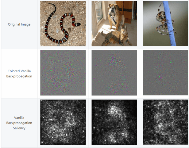 CNN Heat Maps: Saliency/Backpropagation – Glass Box Medicine