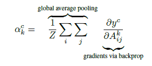 Grad-CAM: Visual Explanations from Deep Networks – Glass Box Medicine