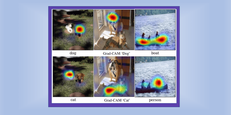 radiology – Glass Box Medicine