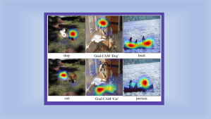 Grad-CAM: Visual Explanations from Deep Networks – Glass Box Medicine