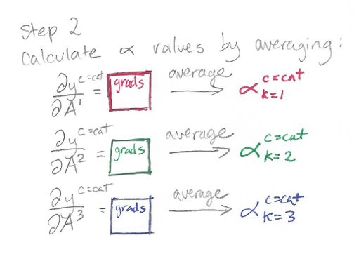 Grad-CAM: Visual Explanations from Deep Networks – Glass Box Medicine