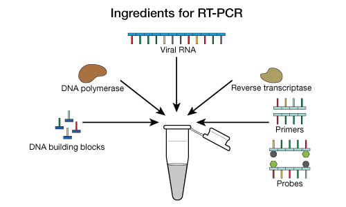 COVID-19 Chest CT Scan Analysis: Clinical Recommendations and Machine ...