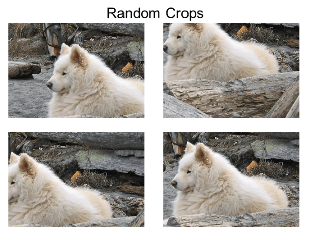 Building Custom Image Datasets in PyTorch: Tutorial with Code – Glass ...